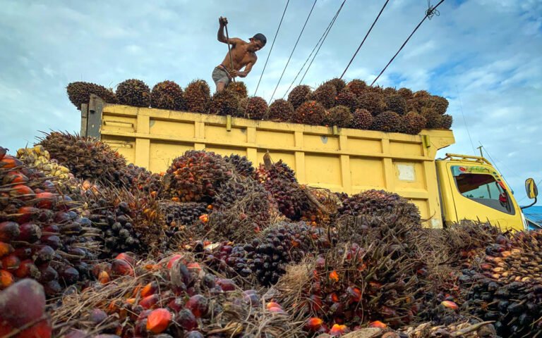 Palm Oil Magazine - Sampoerna Agro Remains Optimistic About Achieving ...