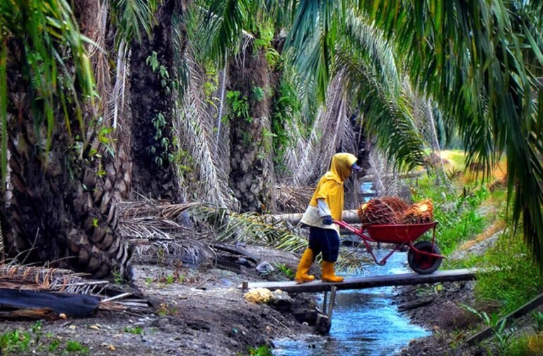 Palm Oil Magazine - Prof. Erliza Hambali Highlights Innovative Use of ...