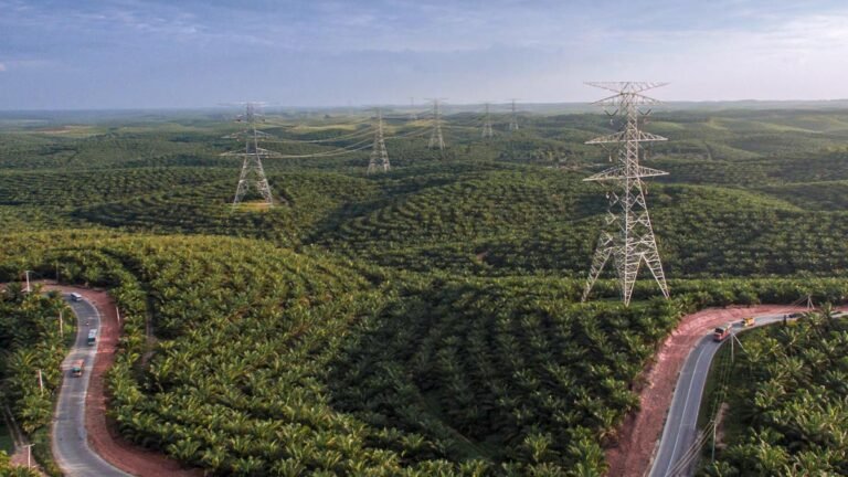 Palm Oil Magazine - PTPN IV PalmCo Embraces Digital Technology with ...