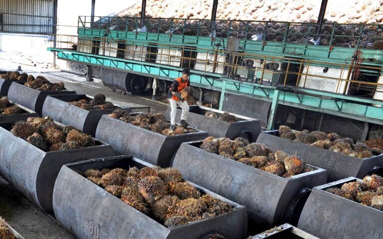 Palm Oil Magazine - FFB Prices for Independent Smallholders in Riau ...