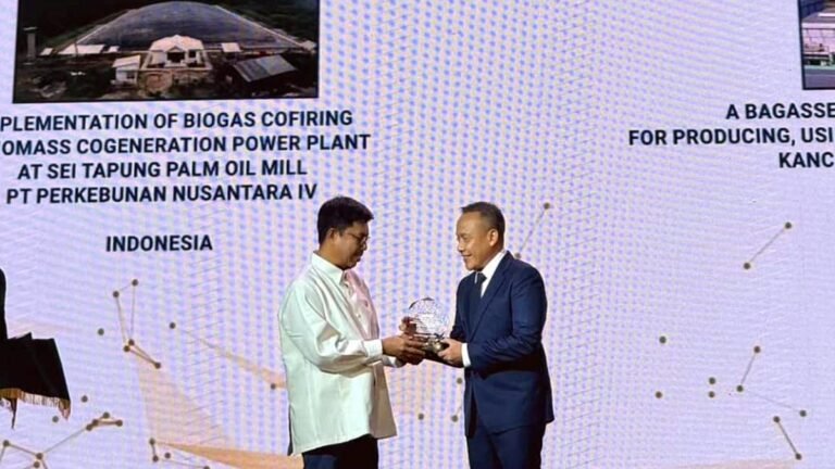 Palm Oil Magazine - PalmCo Wins 2024 ASEAN Energy Award for Renewable ...