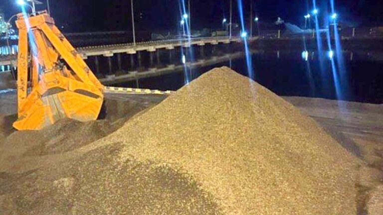 Palm Oil Magazine - Parepare Customs Boosts Palm Kernel Shell Exports ...