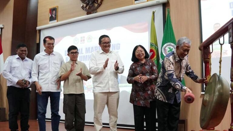 Palm Oil Magazine - Empowering Palm Oil MSMEs Through Digital Skills, INSTIPER Hosts National ...