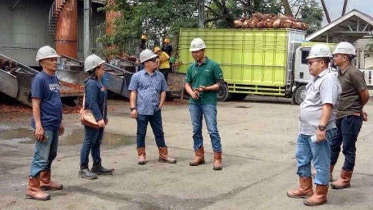 Palm Oil Magazine - West Sulawesi Plantation Office Monitors Palm Oil ...