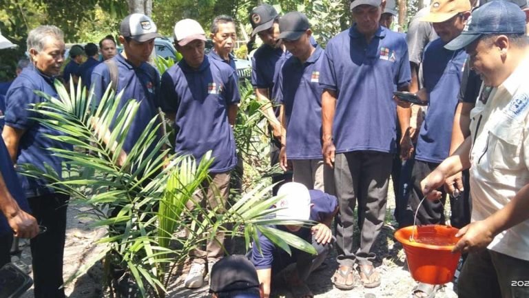 Palm Oil Magazine - Palm Farmers Turn Empty Fruit Bunches into Biochar ...