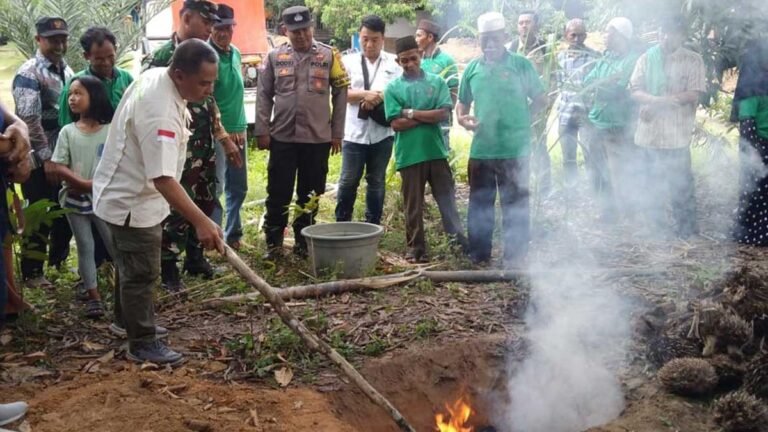 Palm Oil Waste Turned into Biochar, A Sustainable Way to Reduce Farmers ...