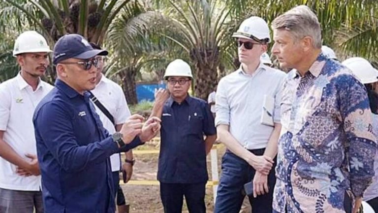 Palm Oil Magazine - PalmCo Positioned as Indonesia–EU Green Diplomacy ...