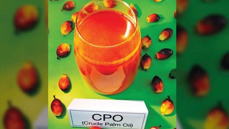 Palm Oil Magazine - CPO Prices at KPBN Inacom Rise on Monday (Nov 10 ...