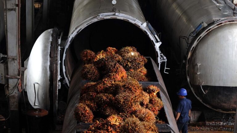 Palm Oil Magazine - KPBN Inacom CPO Prices Fall on Wednesday (Dec 17 ...