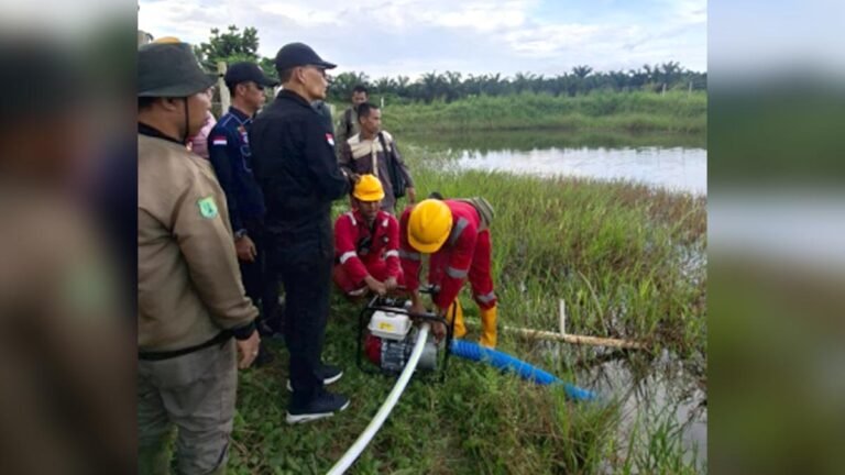 Palm Oil Magazine - Agriculture Ministry Tightens Palm Oil Fire Risk ...